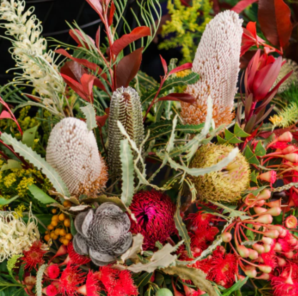 Native Flowers in Aboriginal Culture – BW Tribal