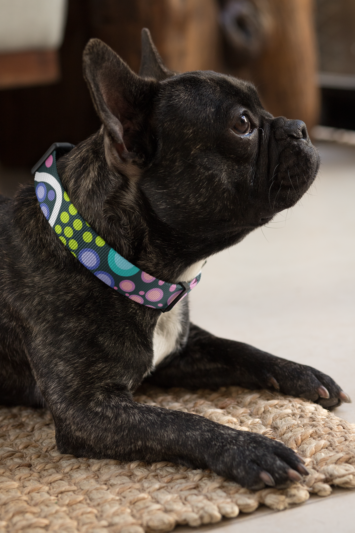 One Mob - Dog Collar with Aboriginal Art – BW Tribal